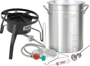 Top 5 Portable Deep Fryer You Can Get In 2022 Reviews + Guide